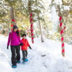 Squamish: Sea to Sky Gondola Admission Ticket - Exploring the Summit: Trails and Attractions