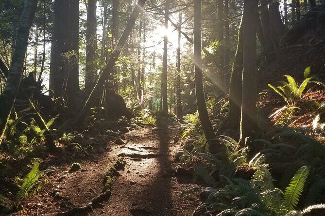 Squamish Trail Running Adventure - FAQ