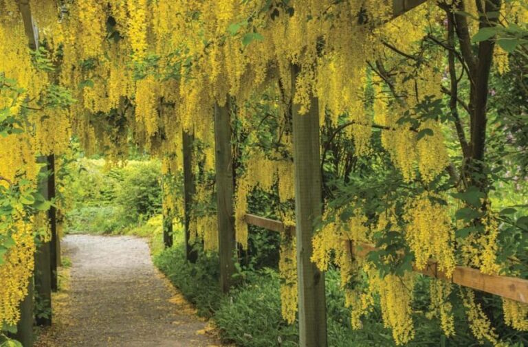 St. Andrews New Brunswick: Kingsbrae Garden Admission Ticket - Practical Details and Visitor Tips