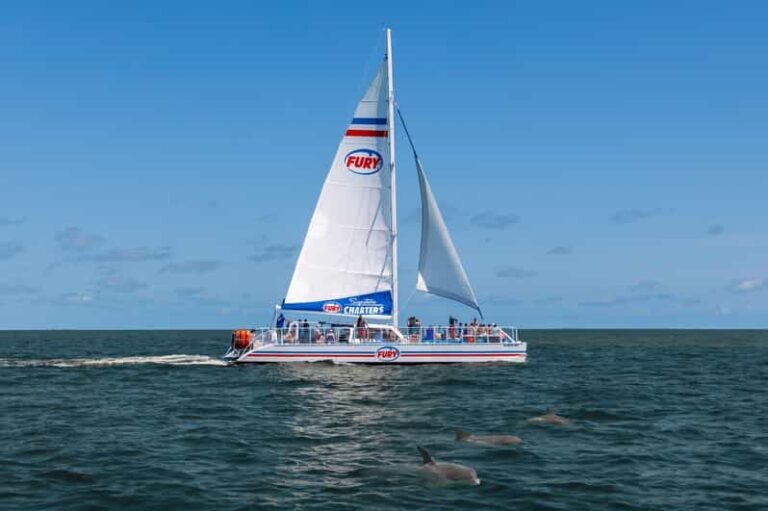 St. Augustine: Dolphin Watching Harbor Tour with Drinks - A Deep Dive Into the Journey