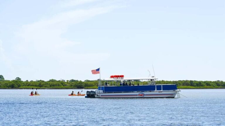 St. Augustine Wildlife Adventure: Boat Cruise & Kayak Tour - Who Should Consider This Tour?