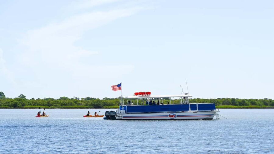 St. Augustine Wildlife Adventure: Boat Cruise & Kayak Tour - Who Should Consider This Tour?