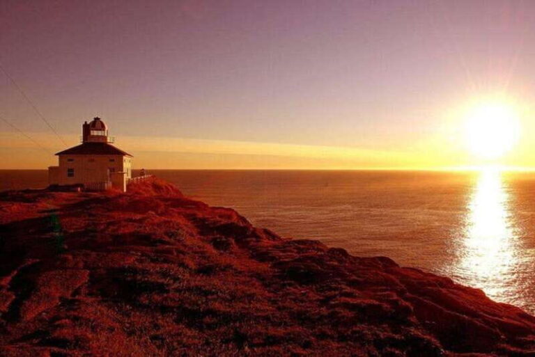 St. John's NL: Cape Spear & City Tour with Local Guide - Why This Tour Is a Great Choice