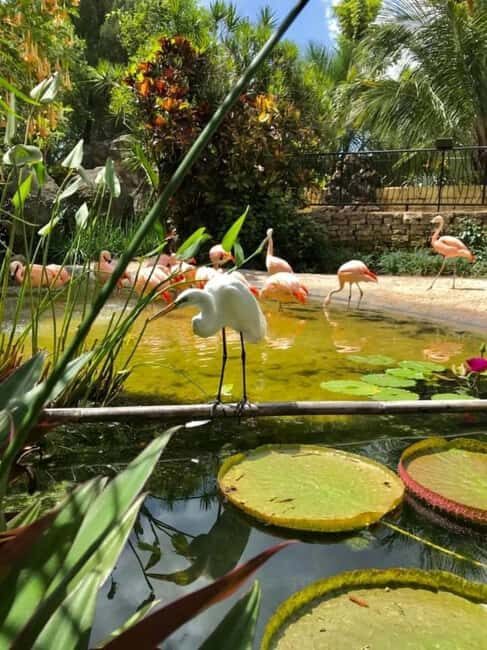 St. Petersburg: Eco Segway Tour with Sunken Gardens - What the Tour Covers: A Well-Rounded Experience