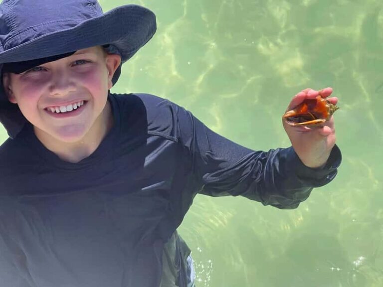 St. Petersburg, FL: 3-Hour Eco Tour with Island Hopping - Itinerary Breakdown and Highlights