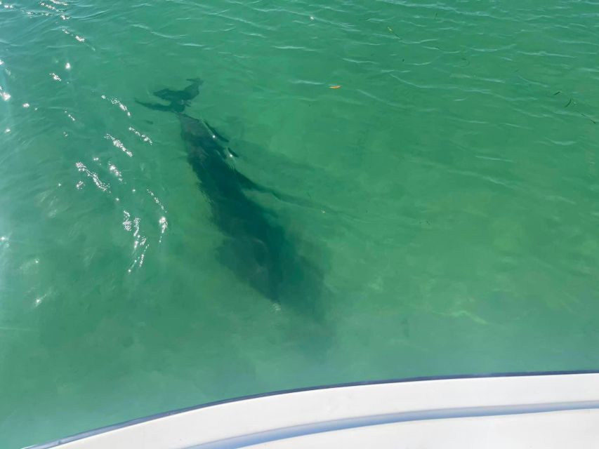 St. Petersburg, FL: 4-Hour Private Beach Tour - Why This Tour Offers Real Value