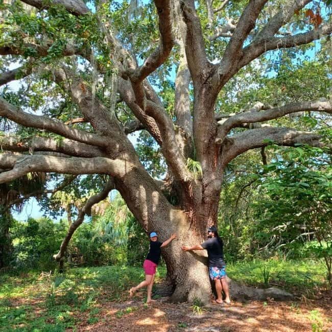 St. Petersburg: Lake Maggiore Bike Tour with Guide - An In-Depth Look at the Lake Maggiore Bike Tour