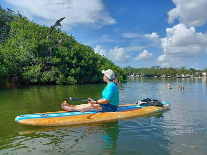 St. Petersburg: Paddle Board Tour with Wildlife Spotting - Who Should Consider This Tour?