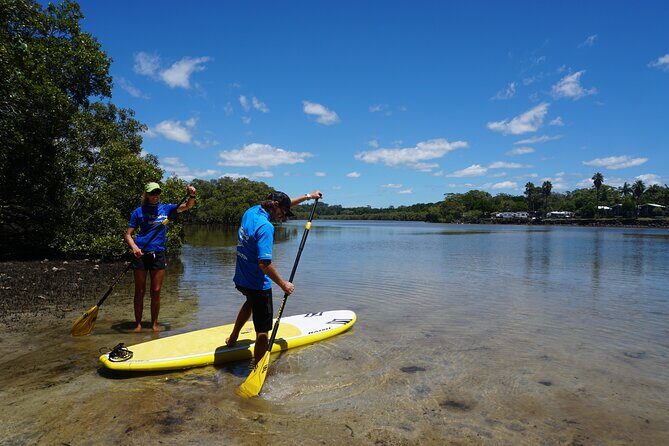 Stand-Up Paddle Board Tour in Byron Bay - What to Expect on the Tour