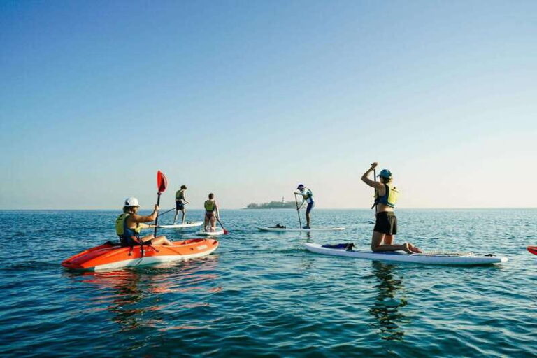 Stand-up Paddle & Kayak Tours in Veracruz - The Value of the Tour