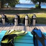 StandUp PaddleBoard Lesson and Experience Scuba Diving Package! - The Experience for Different Travelers