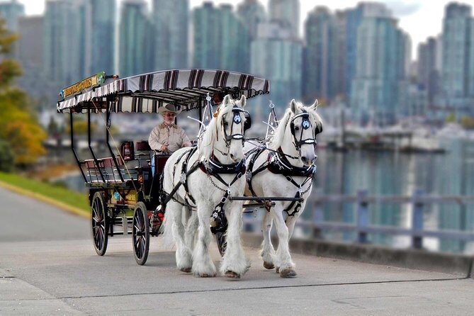 Stanley Park Horse-Drawn Tour - An In-Depth Look at the Stanley Park Horse-Drawn Tour