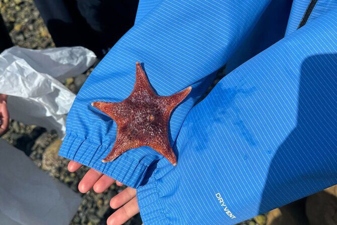 Stanley Park Indigenous Walking Tour Salish Sea and Me - What We Think About the Value
