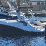Stealth 4 Passenger Boat Rental - Why Choose This Experience?