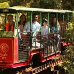 [Stevong Travel] West Coromandel Day Tour - Authentic Experiences Based on Reviews