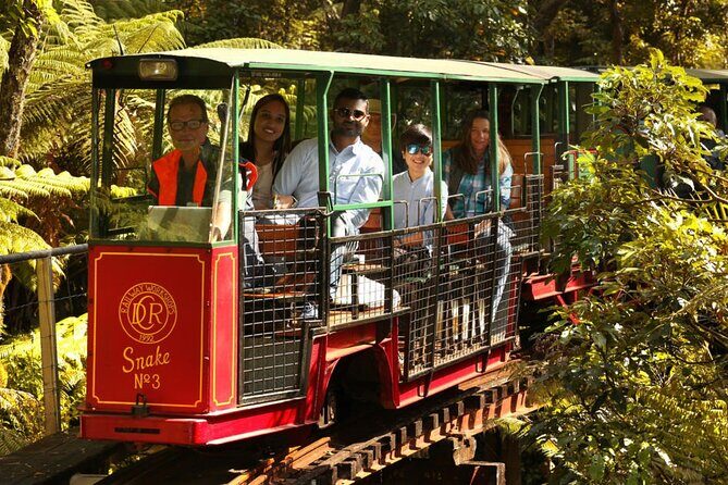 [Stevong Travel] West Coromandel Day Tour - Authentic Experiences Based on Reviews