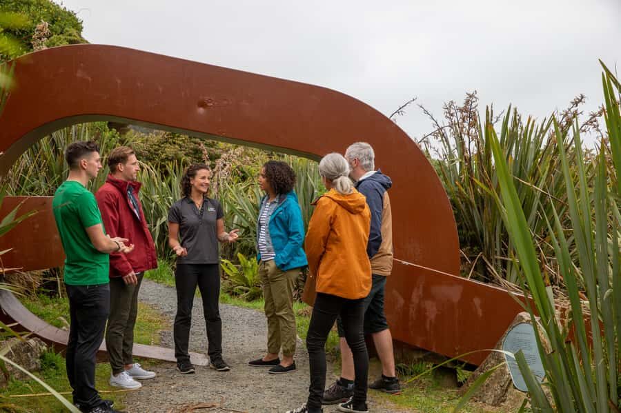 Stewart Island: Village and Bays Tour - Who Will Love This Tour?