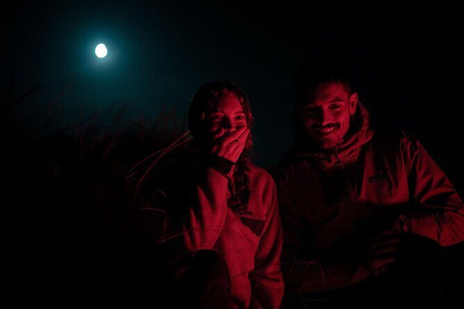 Stewart Island Wild Kiwi Experiences - A Deep Dive into the Stewart Island Wild Kiwi Experiences