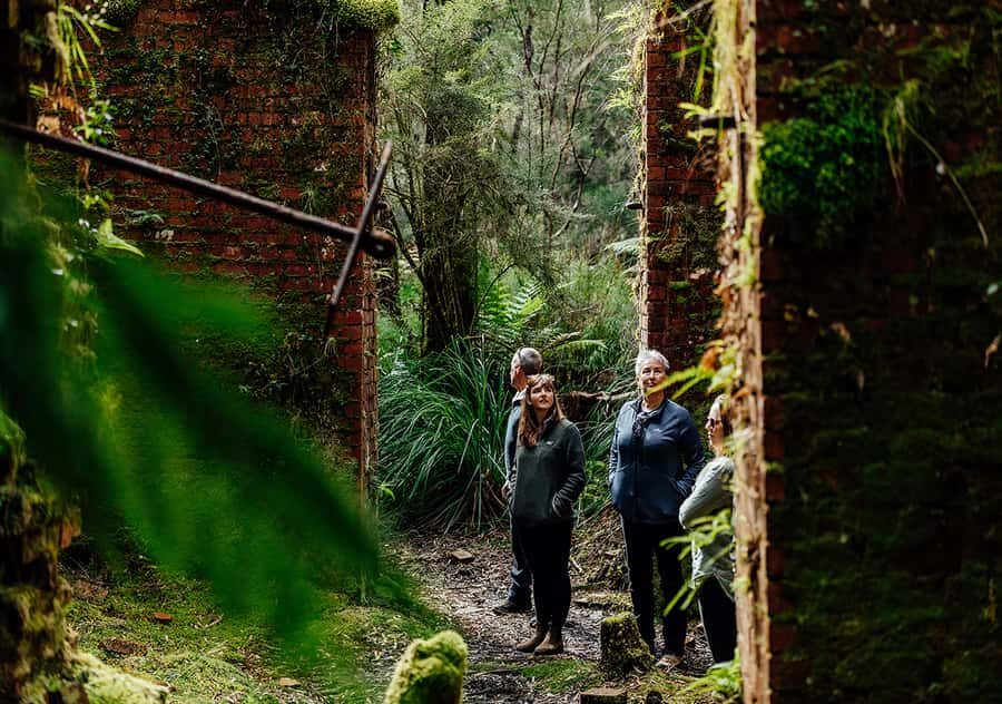 Strahan: The Pillinger Explorer Exclusive Cruise - What Makes This Tour Stand Out?