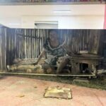 Street Art and Shopping Tour in Playa del Carmen - Practical Details and Value