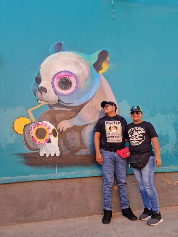 Street Art with an artist - A Deep Dive into the Street Art Tour in Oaxaca