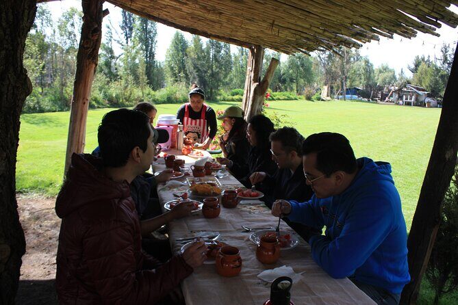 Stroll in the famous floating gardens of ancient Mexico - Practical Details: What You Need to Know