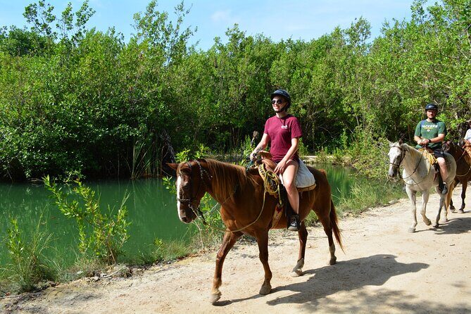 STROLL the Jungle Trails on a HORSE. Includes Transportation and Equipment. - What to Expect: A Step-by-Step Breakdown of the Tour