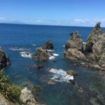 Stunning Auckland East Coast Walk & Wine Private Tour - Price and Value