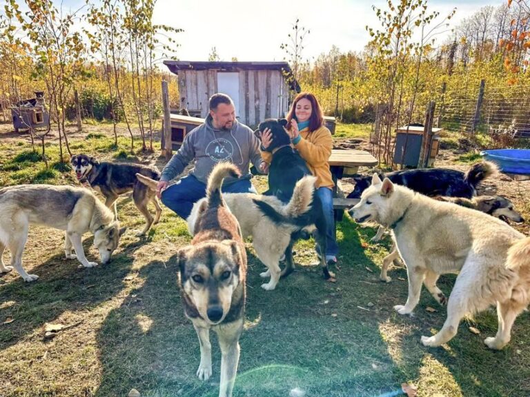 Summer Sled Dog Kennel Tour - The Value of the Tour