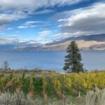 Summerland Half Day Wine Tour (Incl. Tasting Fees & Guide Grat!) - Key Points