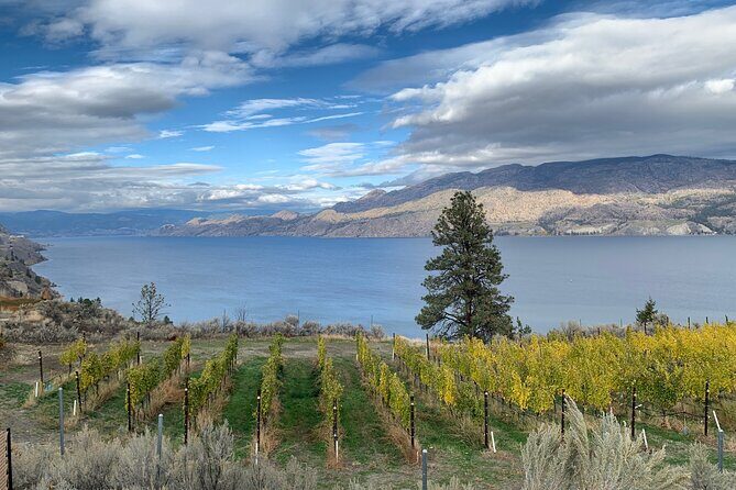 Summerland Half Day Wine Tour (Incl. Tasting Fees & Guide Grat!) - Key Points
