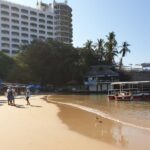 Sun, Sea & Streets: Beach Day + Snorkel Adventure & City Tour - Who Will Love This Tour?