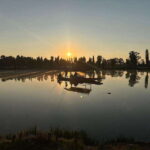 Sunrise in Xochimilco - A Closer Look at the Tour Experience