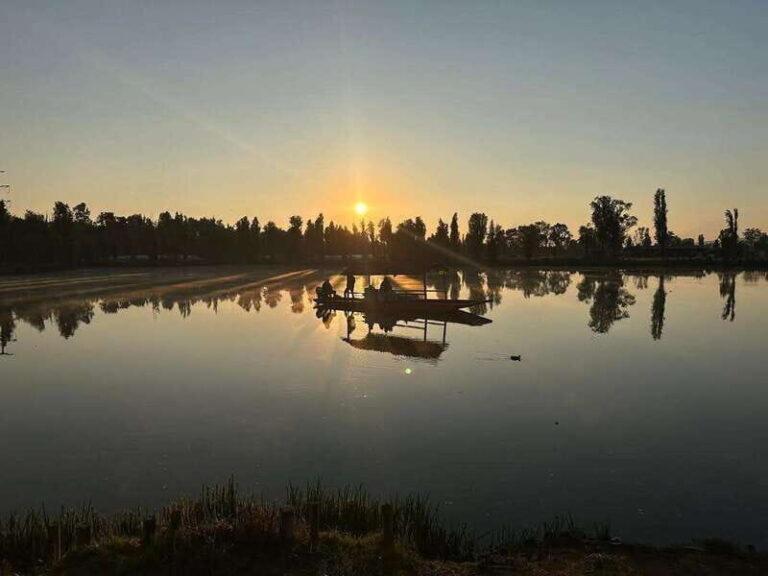 Sunrise in Xochimilco - A Closer Look at the Tour Experience