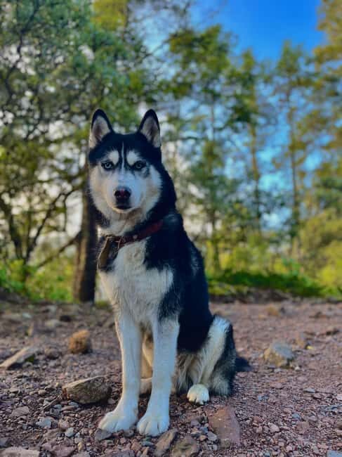 Sunrise on the heights: Pico del Águila. Mexico City. - Practical Aspects and Considerations