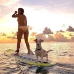 Sunrise Paddle Surf - Price and Value Analysis