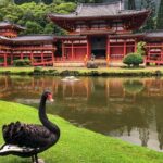 Sunrise Plus Island Tour - Photography Focus — Learning and Shooting