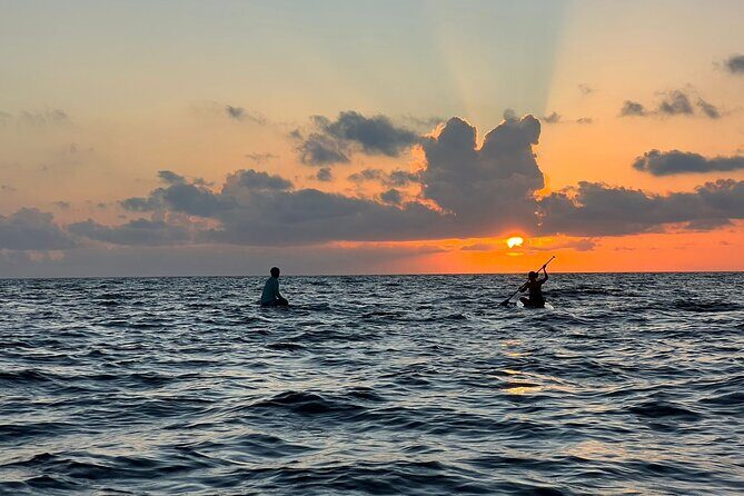 Sunrise Stand Up Paddle activity on a privileged beach. - Setting the Scene: What to Expect on the Tour