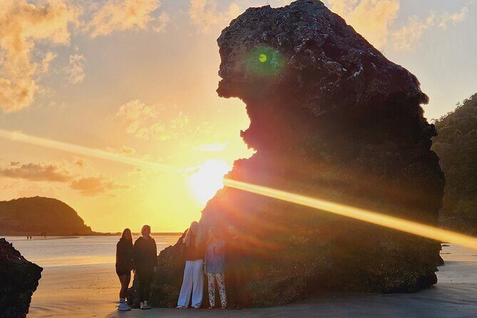 Sunrise with the kangaroos and wallabies - What Travelers Say: Authentic Insights