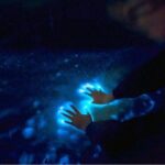 Sunset and Bioluminescence Boat Tour at Los Arcos Islands - Final Thoughts