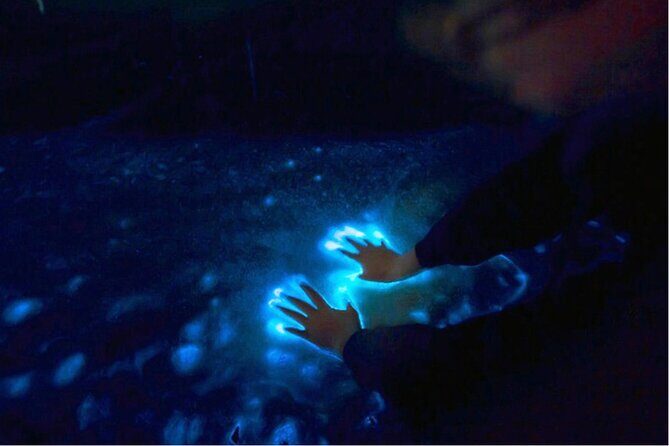 Sunset and Bioluminescence Boat Tour at Los Arcos Islands - Final Thoughts