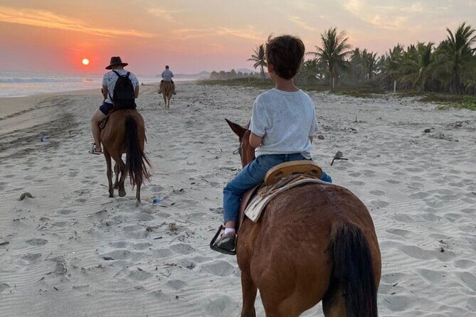 Sunset by horse (river and beach) - Who Will Love This Tour?