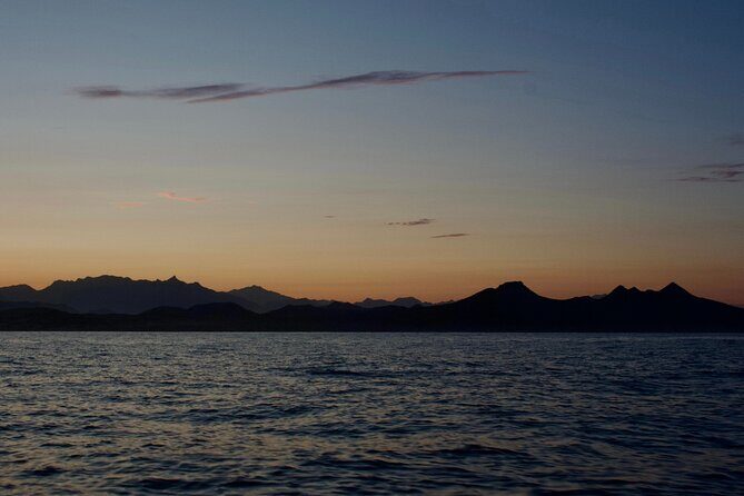 Sunset Cruise in San Jose del Cabo - Additional Practical Details