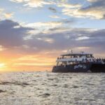 Sunset Dinner Cruise in Los Cabos - Practical Details and Tips