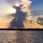 Sunset, Dolphin/Birding On A Private Guided Savannah Cruise - The Experience: What You Can Expect