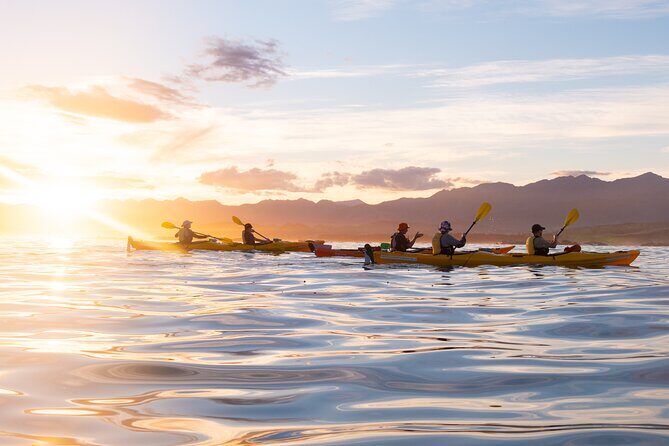 Sunset Evening Kayaking Tour - Kaikoura - Why We Love This Tour