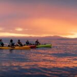 Sunset Kayak tour in Kaikoura - FAQ