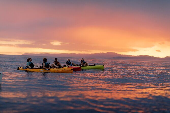 Sunset Kayak tour in Kaikoura - FAQ