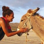 Sunset Pacific Donkey Hiking Tour - What Travelers Love About This Tour