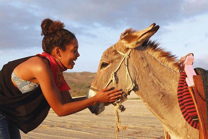 Sunset Pacific Donkey Hiking Tour - What Travelers Love About This Tour
